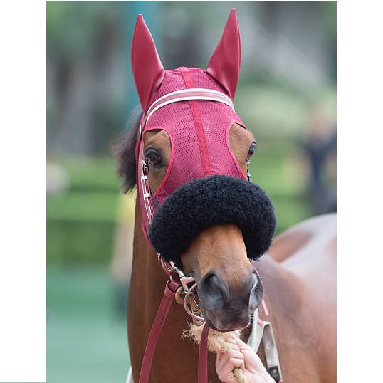 Nose Roll – Equus Performance Pty Ltd