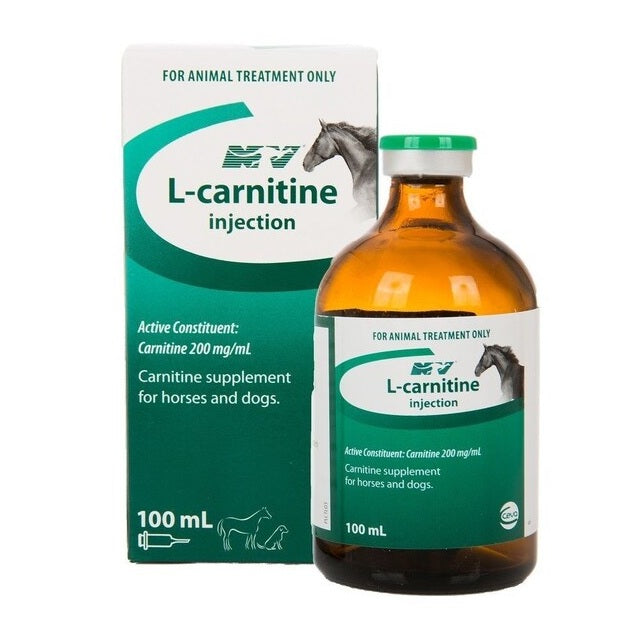 NV L-Carnitine Injectable – Equus Performance Pty Ltd