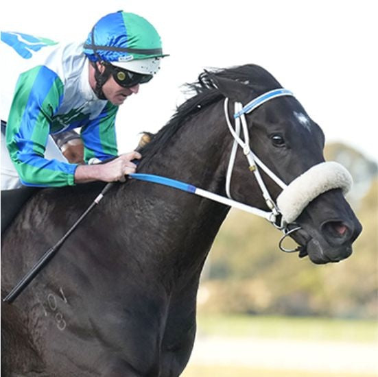 Nose Roll – Equus Performance Pty Ltd